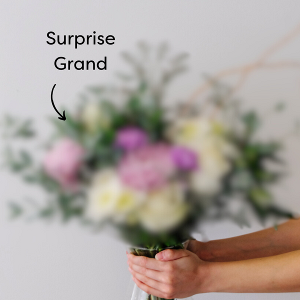 Grand_1_78782101-16c1-4d4e-91d6-4e7bac256f83_grande.png?v=1716347173